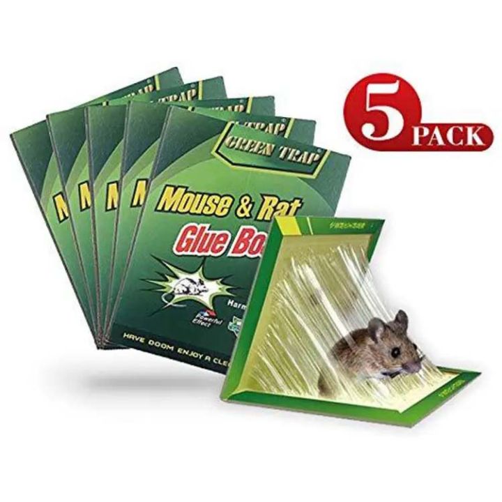 Pack Of 5 Mouse Glue Book-Reusable Expert Catch Mouse Glue Traps-Rat ...