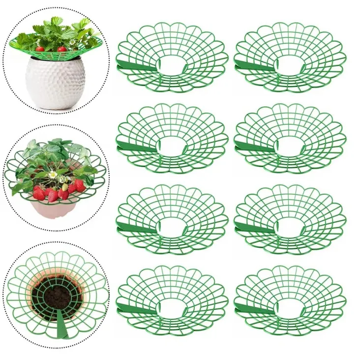 1/3Pcs New Round Strawberry Stand Anti-ground with Three Sturdy Legs ...