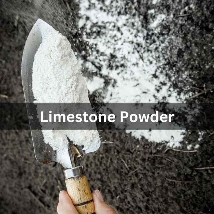 Pure Limestone powder for plants - bhuja chuna - good Quality - powder ...