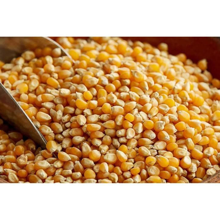 pack of 1Kg- popcorn kernels, high recommended, best quality, very ...