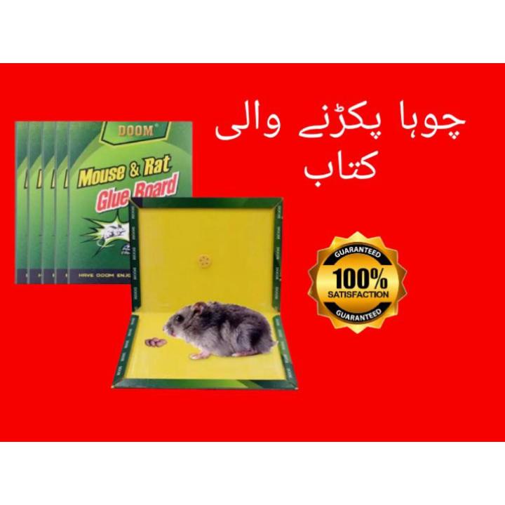 Rat killer Glue Sheet - High Quality Rat Catcher Book - Get Rid Of ...
