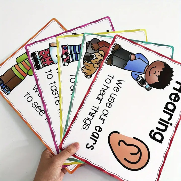 5pcs Bundle Five Senses Flashcards Posters Classroom Educational ...