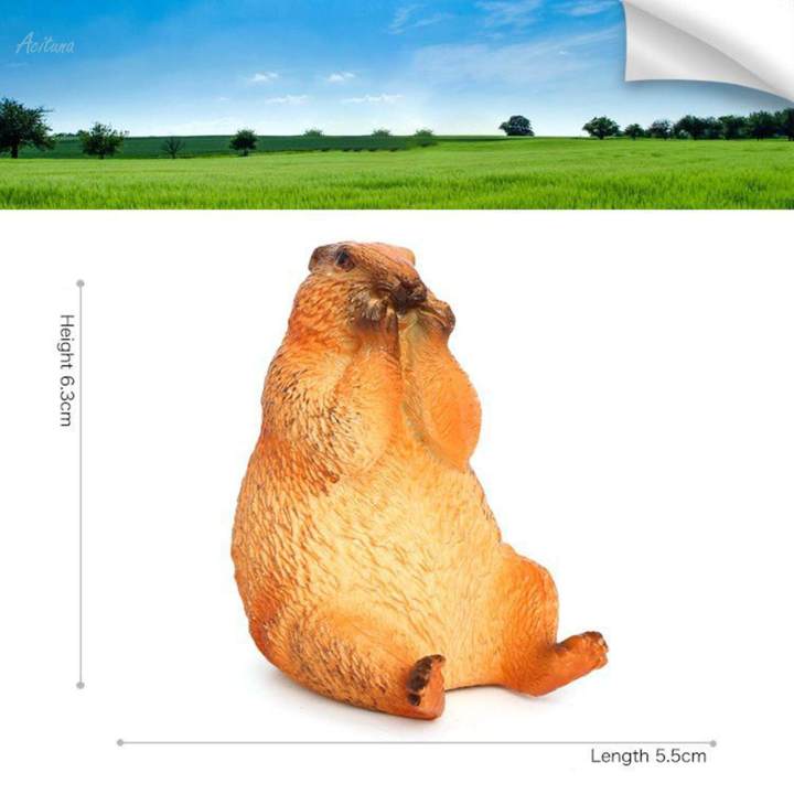 4x Groundhogs Model Figures Miniature Collectibles Playset Desktop ...