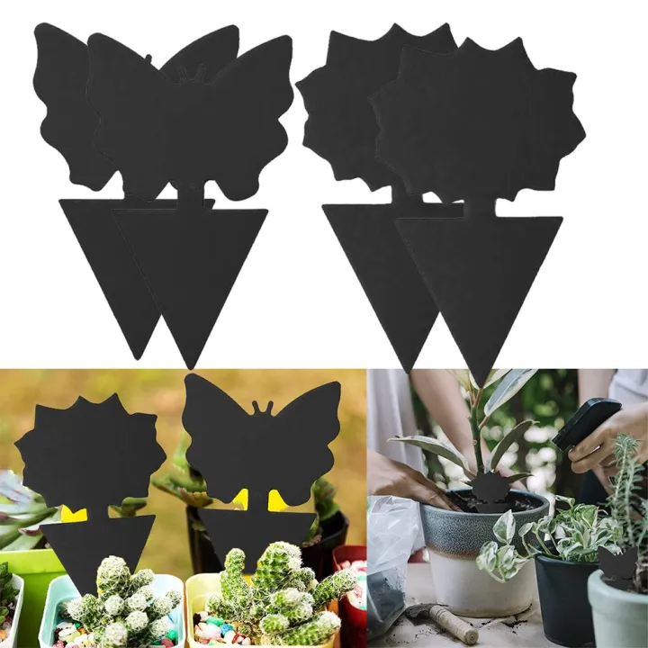 Indoor Outdoor Fungus Traps Protect The Plant Flower Butterfly Shape ...