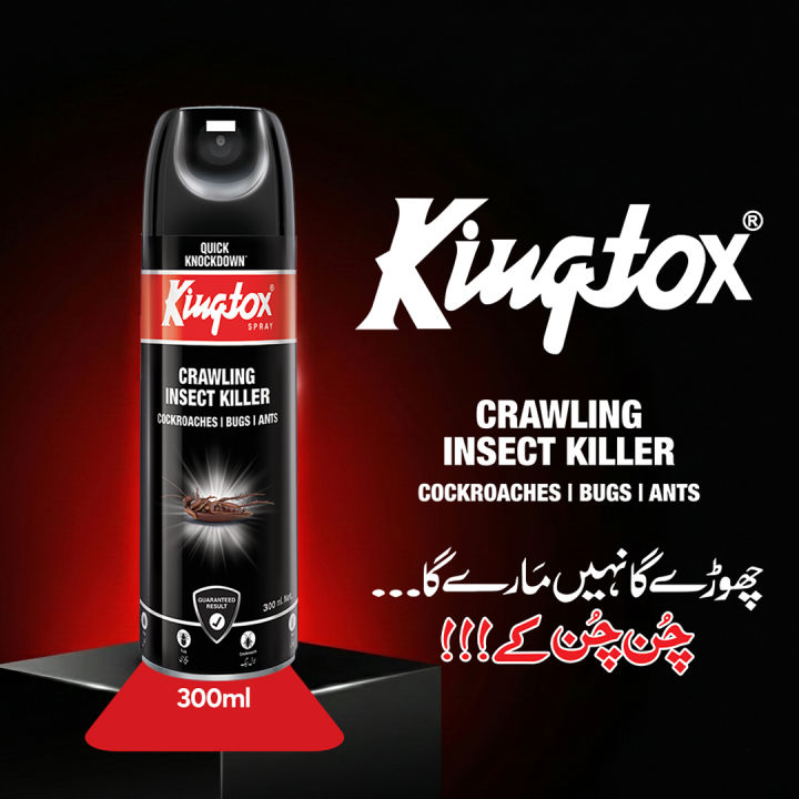 Kingtox Crawling Insect Killer Spray 300ml | Daraz.pk