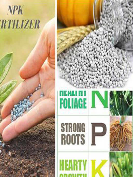 NPK Fertilizer Macro nutrient for plant growth ( 500 GM ) ! | Daraz.pk