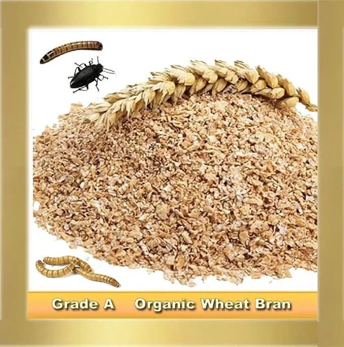 Organic Grade A Wheat BRAN for Mealworms, Super Worms, Birds, Isopods ...