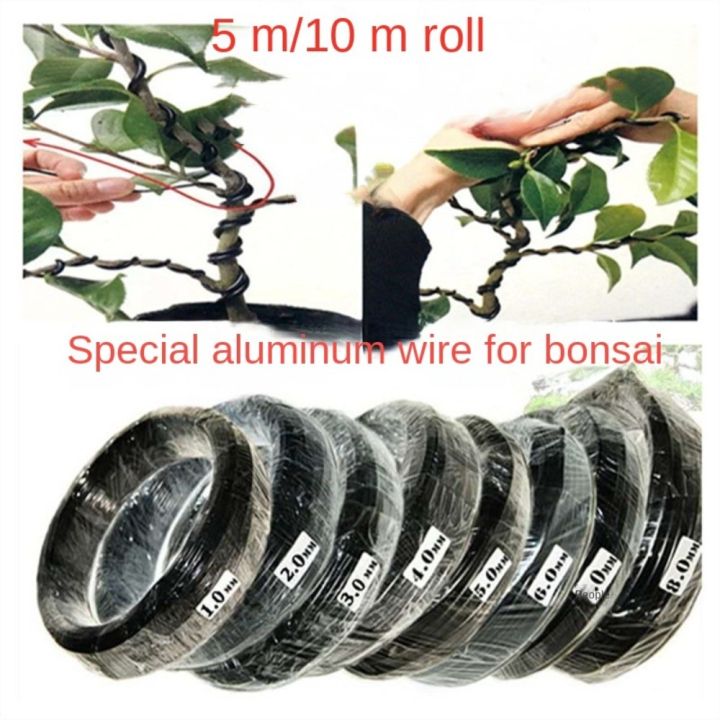 Black Aluminum Bonsai Wire 1/1.5/2/2.5/3mm Plant Support Bonsai ...