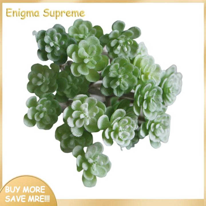Enigma- Simulated Greenery Not-withering Micro Landscape Succulent ...