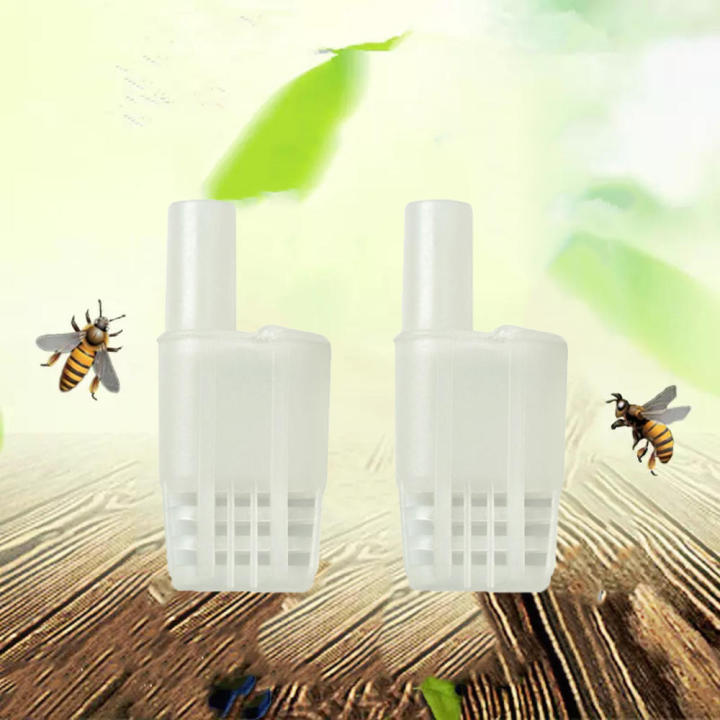 Lightweight cage Secure-lock Compact Plastic Beekeeping cage Reusable ...