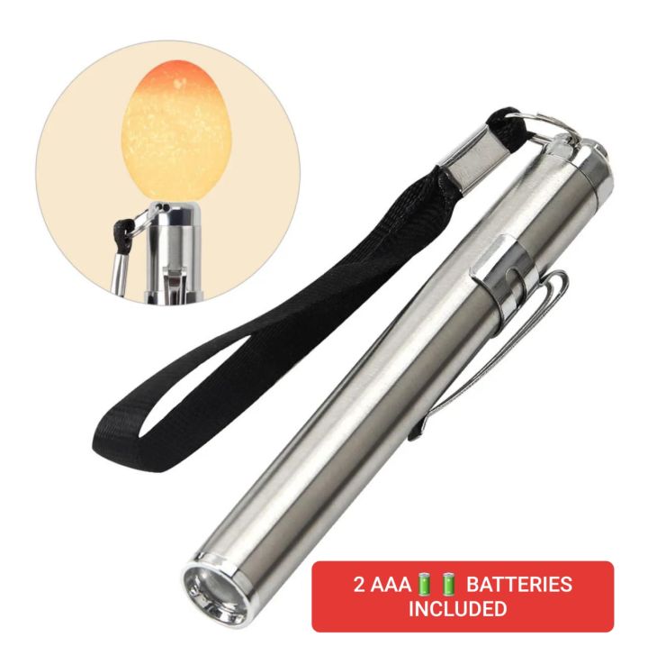 Stainless Steel Incubator Egg tester Egg Candling Lamp LED Super Cold ...