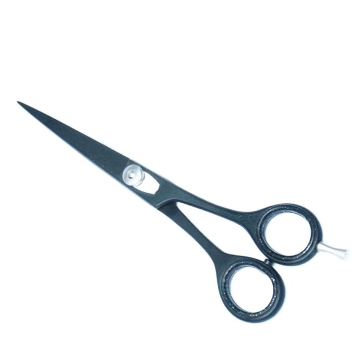 Scissors Professional6.5 inch Hair Cutting Scissor Stainless Steel with ...
