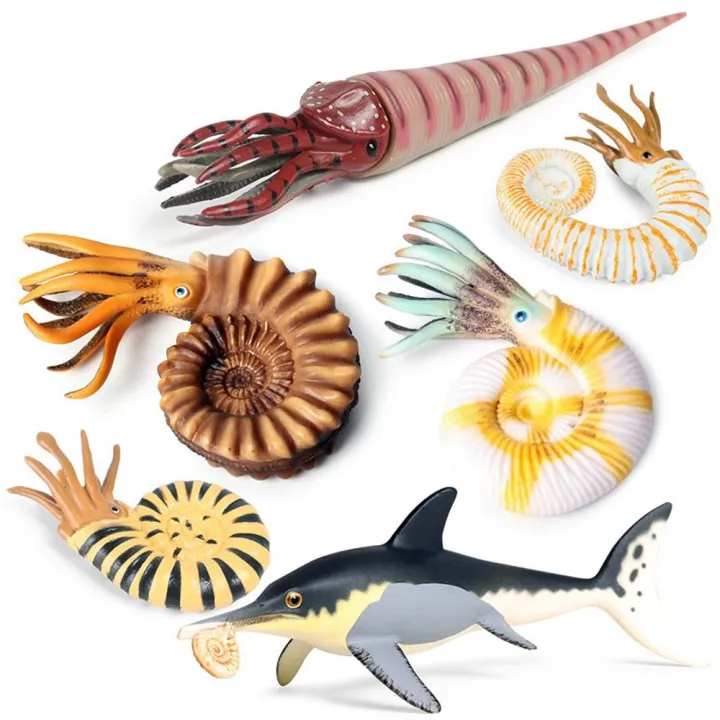 Baculites Prehistoric Ocean Animal Figure Nautilus Simulation Marine ...
