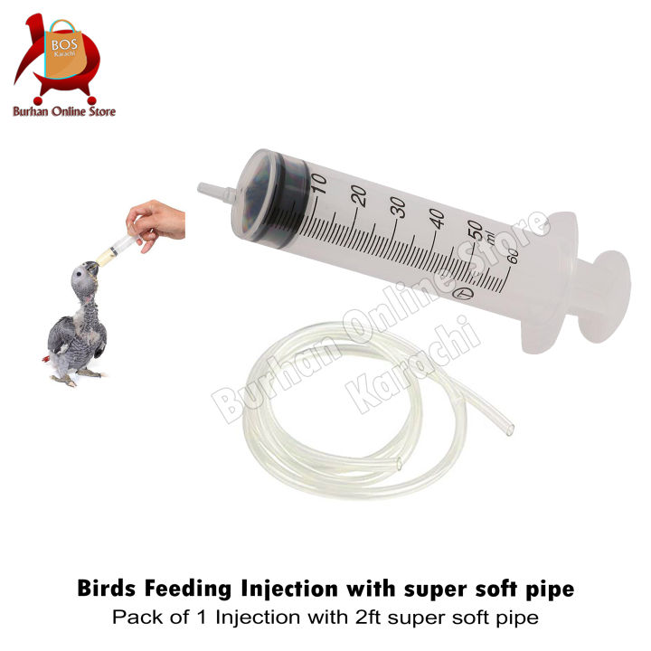 Hand Feeder for Chicks Birds Feeding Injection Birds Feeder 50ml | Daraz.pk