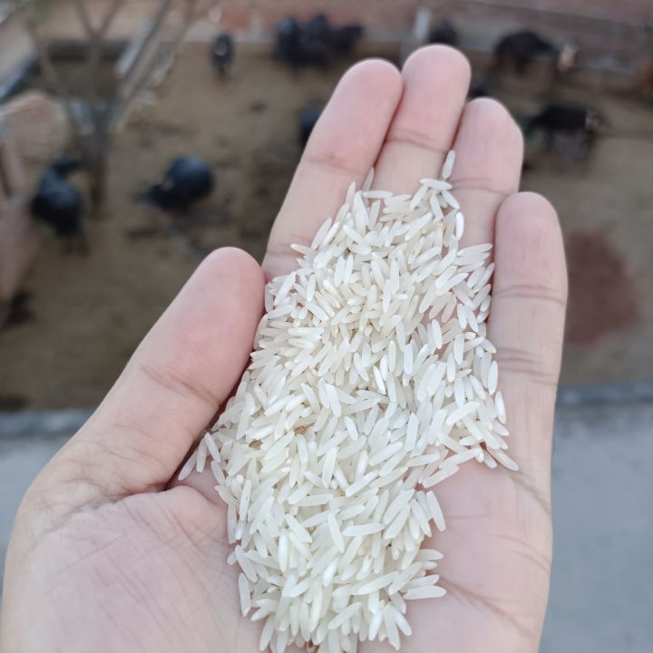 Super Kernel Basmati rice 1kg New desi special rice | Daraz.pk