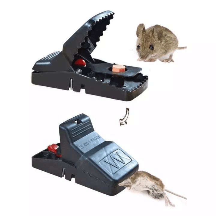 Pack of 2 Reusable Plastic Mouse Traps for House, Small Rat Traps Quick ...