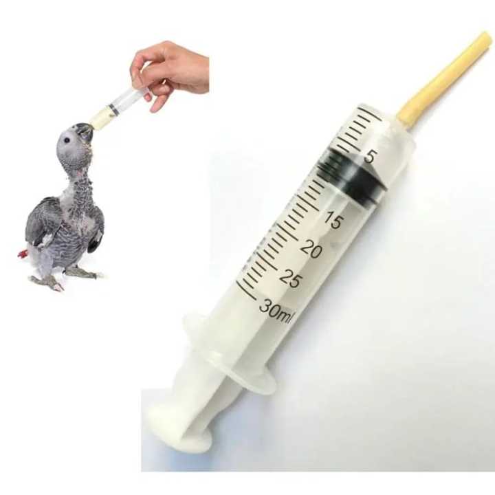 BIRDS HAND FEEDING SYRINGE 30CC FOR BABBY BIRDS | Daraz.pk