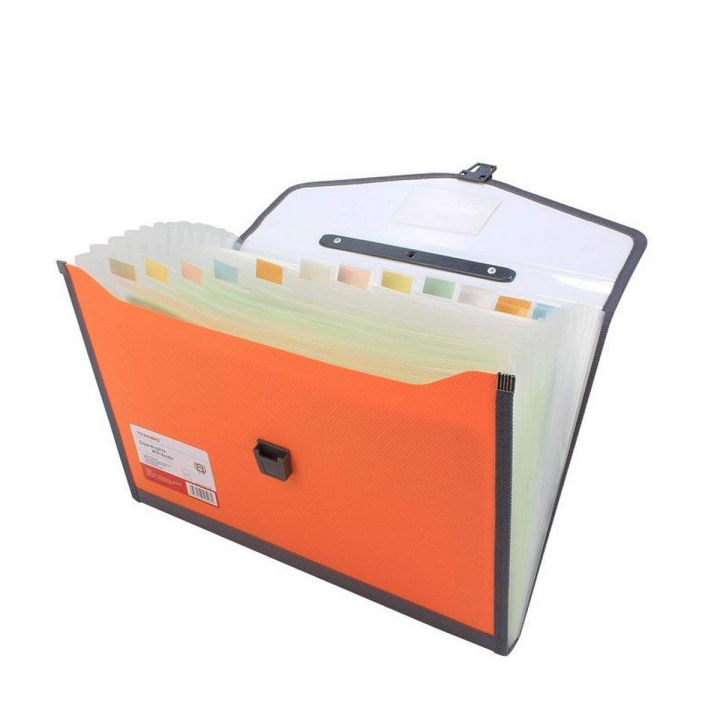 TRANBO Plastic Expanding Bag File Folder with 13 Section Pockets, FC ...