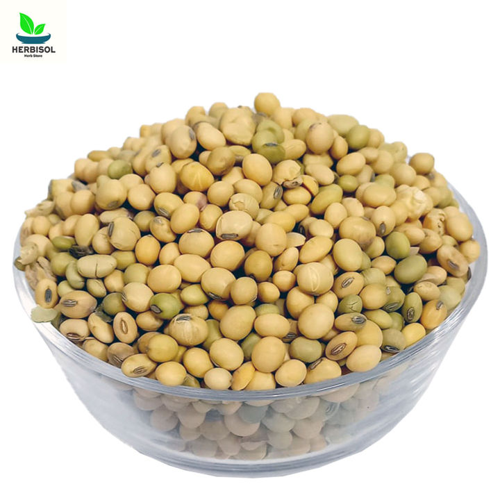 Soya Bean 100gm - 100% Original , Fresh Soy Beans Seeds 100 grams ...
