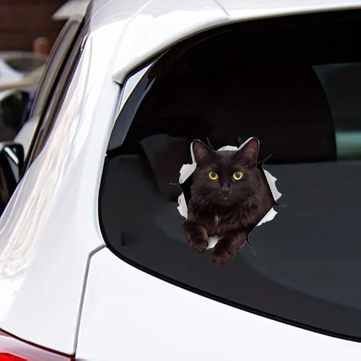 Cute Peeking Cat Sticker, Vinyl Funny Decal for Auto Window Bumper ...
