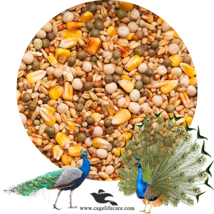 Peacocks & Ground Birds Seed Mix 1KG - Special Ratio Neat & Clean 0% ...