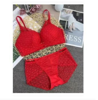 Bridal Bra Panty Sexy Pushup Lace Seamless Net Hot Brazier Transparent ...