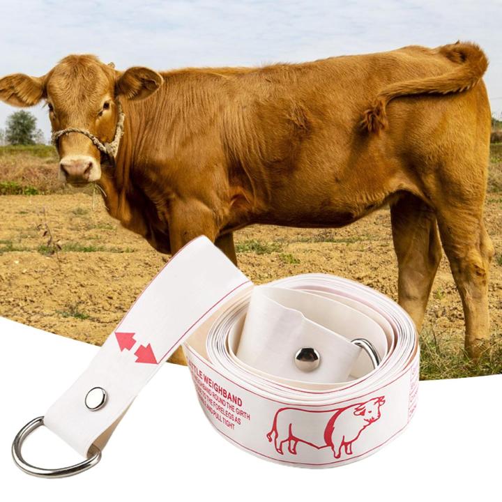 Cattle Bust Ruler Accurate Measurement Ultra-Light Flexible Soft Cattle ...