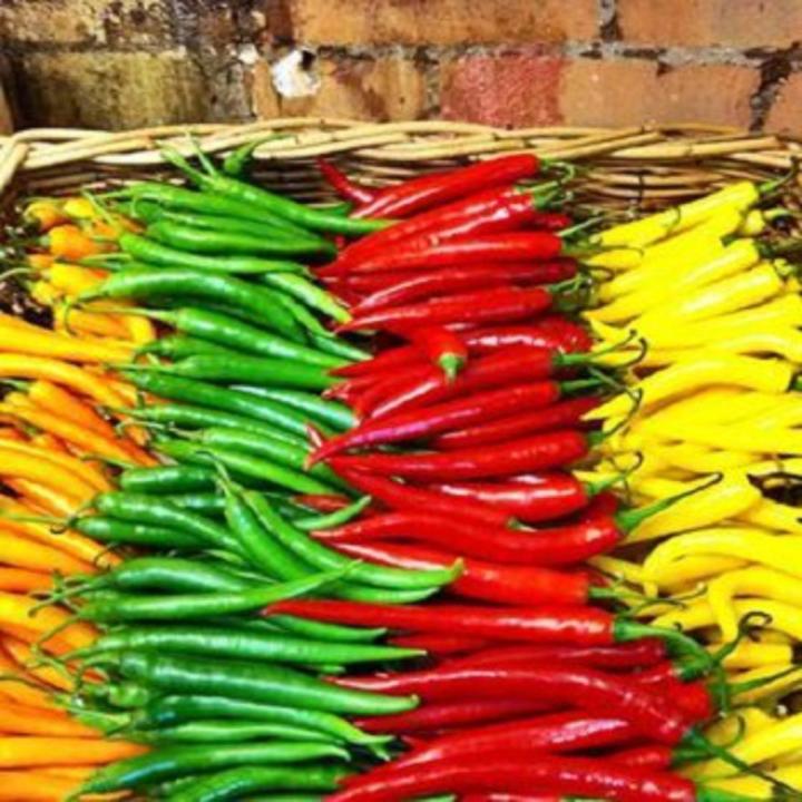 Mix Colour Long Pepper Seeds | Daraz.pk