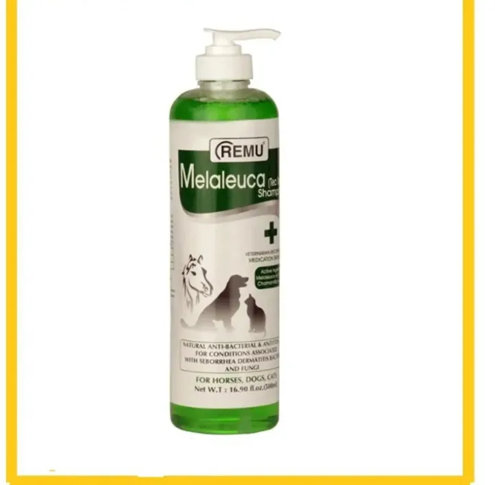 Melaleuca (Tea Tree) Medicated Shampoo - 120 Ml | Daraz.pk