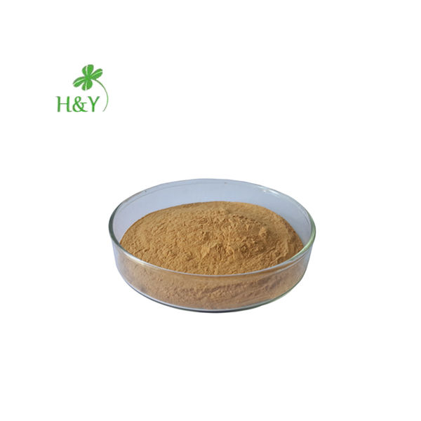 Free Shipping Top Grade Brazilian Gin_seng powder 200 g | Daraz.pk
