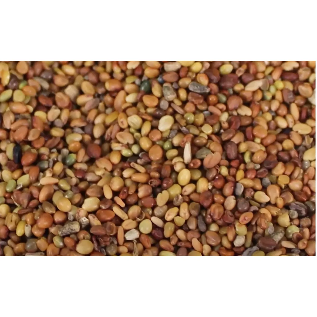 Magic Sugar Control Multigrain Atta / Flour For Diabetic Patients ...