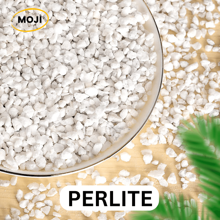 Imported Gulf Perlite for potting mix - Big Size- Lesser Dust - cactus ...