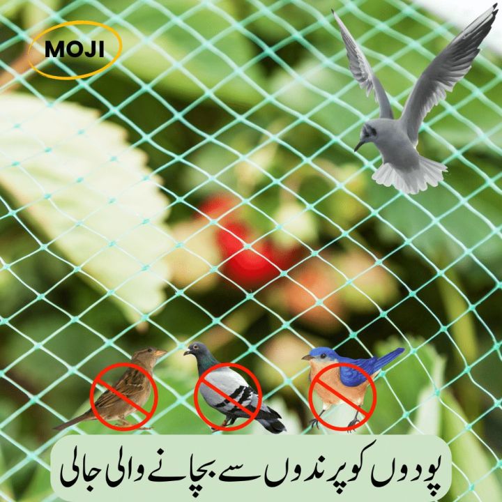 Anti Bird Net for Plants in different sizes - Netting for protecting ...