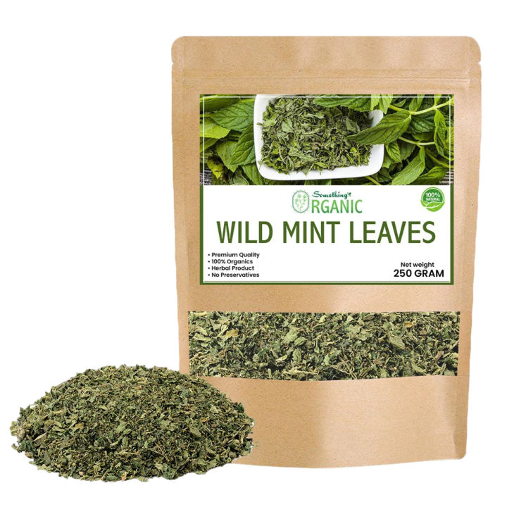 Dry Wild Mint leaf | Mint Leaves | Tea | Pahari Podina Leaves Dried 250 ...