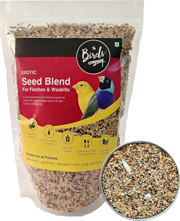 The Birds Company Exotic Seed Blend of 8 Grains, Fortified with ...