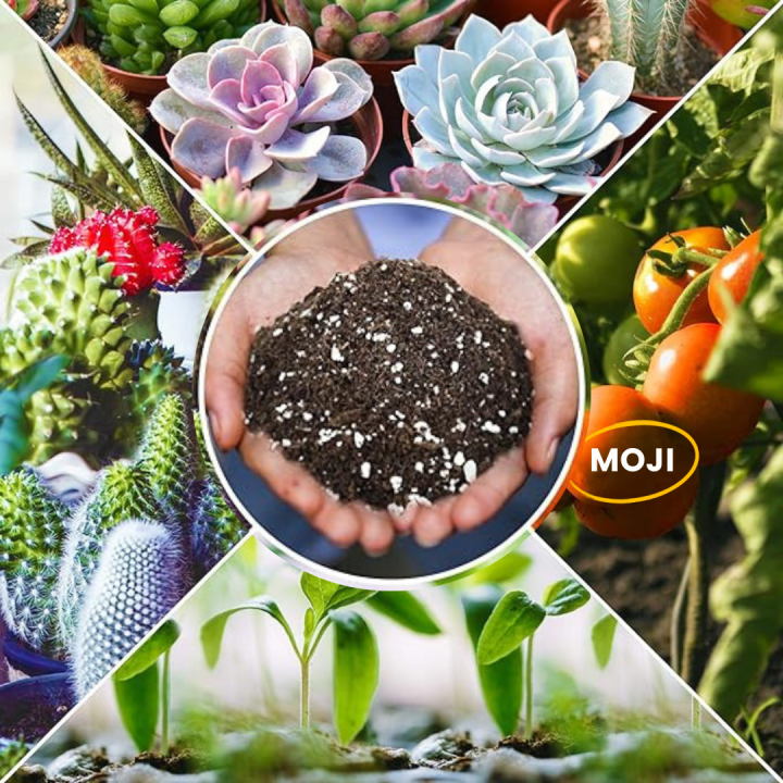 Soilless Organic potting mix - For Plants - adenium - vegetable kitchen ...