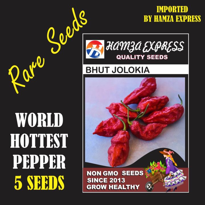 Bhut Jolokia Pepper Seeds World Hottest Pepper 5 Seeds Imported BY ...