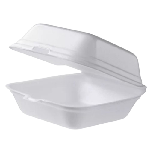 Pack of 25 - Disposable thermocol boxes for biryani - burger | Daraz.pk