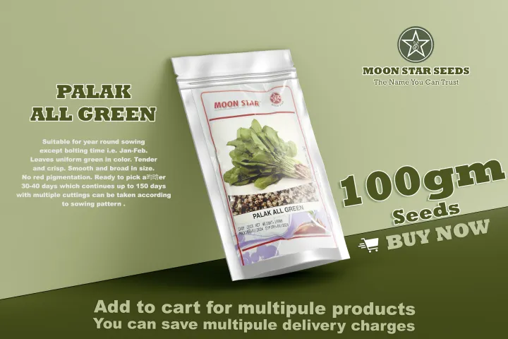 Palak All Green Seeds 100gm – Spinach Seeds – Moon Star Brand | High ...