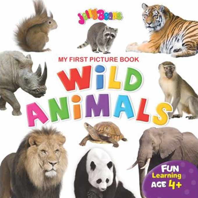Educational Wild Animals Book - 6 inches of Wildlife Wonders Flash ...