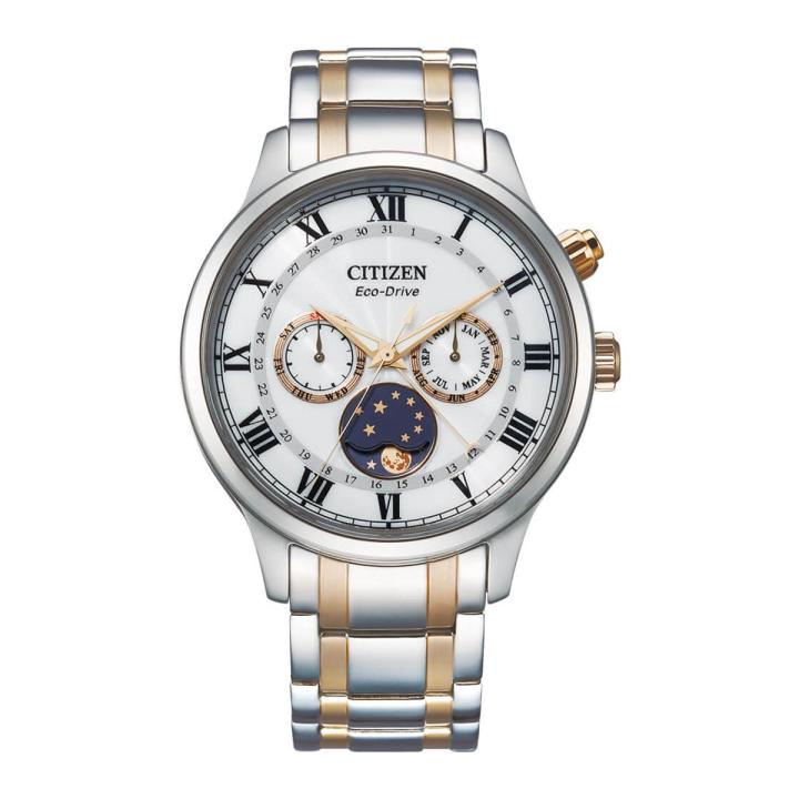 Citizen AP1054-80A Eco-Drive Moon Phase Men Watch | Daraz.pk