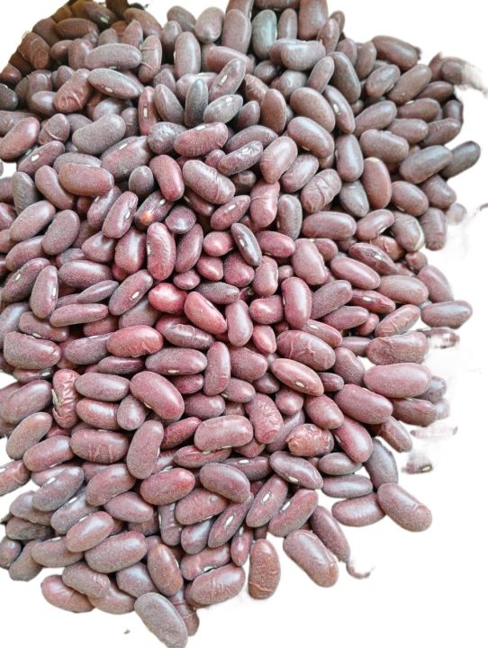 Red Lobia 1 Kg | Daraz.pk: Buy Online at Best Prices in Pakistan | Daraz.pk