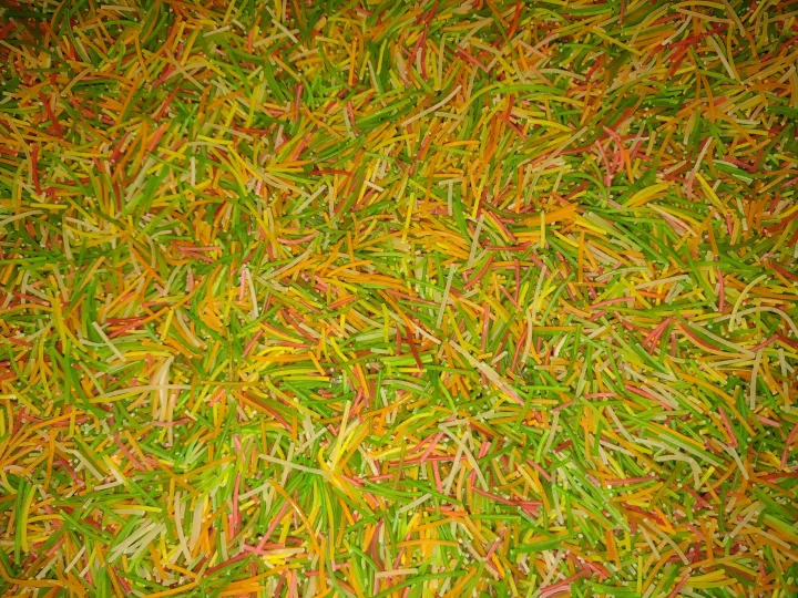 Colorful Vermicelli - Vibrant & Flavorful Vermicelli for Desserts ...