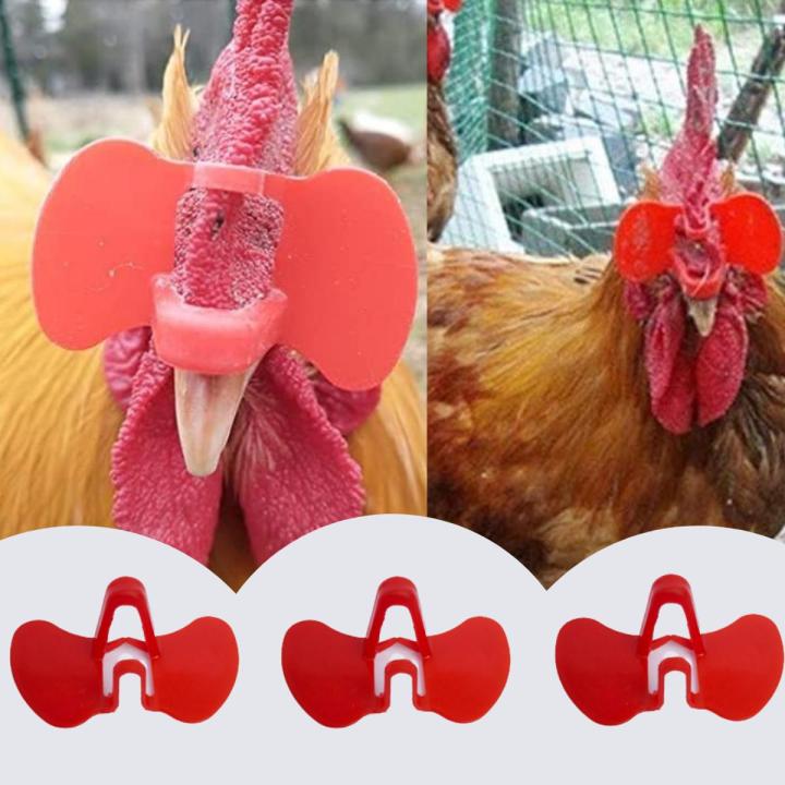 Eye Blinder For Chicken, eye caps for Hen (pack of 4) | Daraz.pk