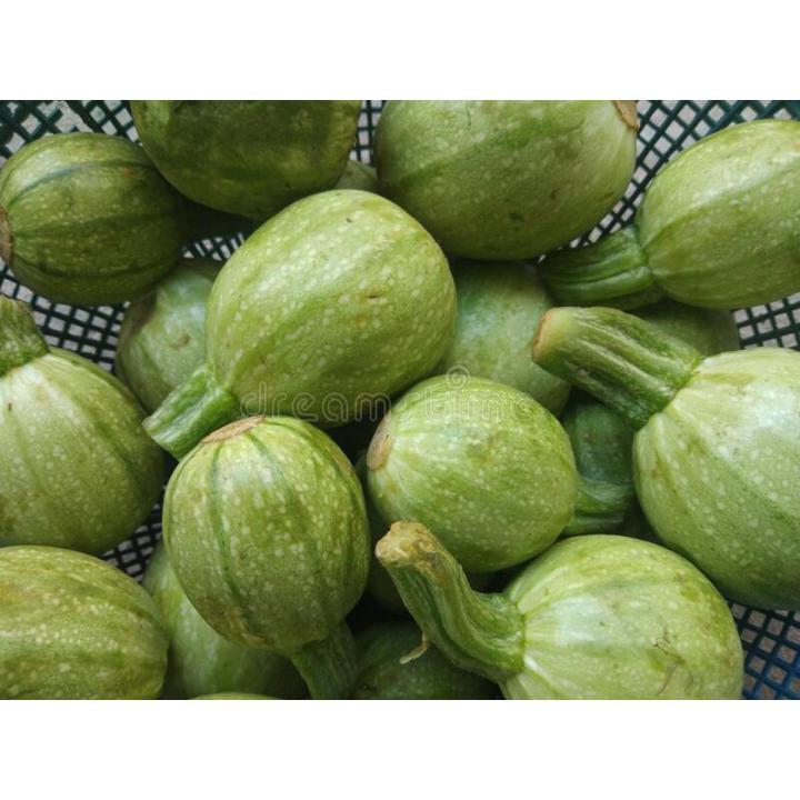 Tinda Goal (Round Squash) Desi Summer Vegetable Seeds | Daraz.pk