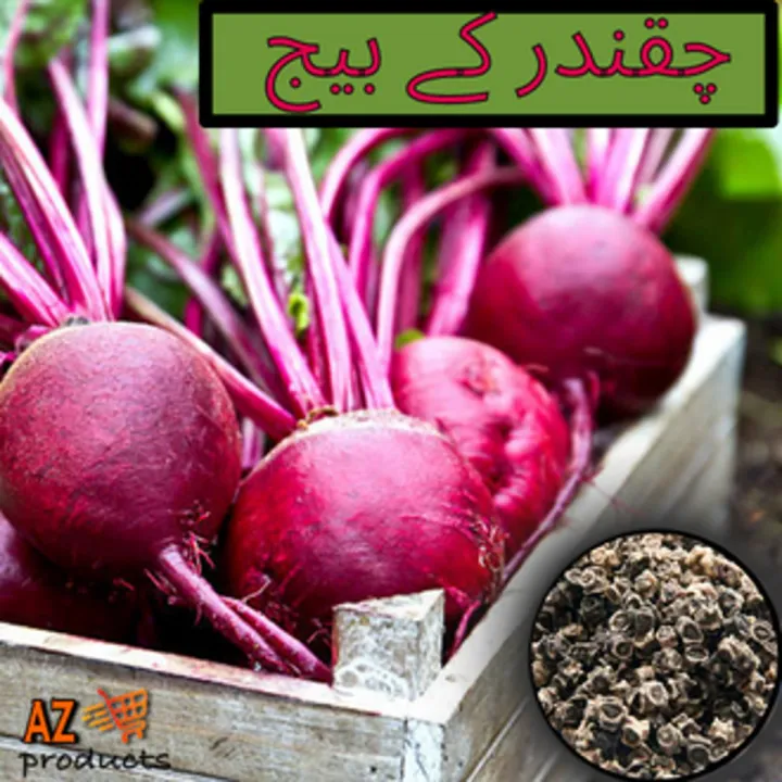 Beetroot seeds (Chukander/Chuqander k beej )(چقندر کے بیج)Hybrid ...