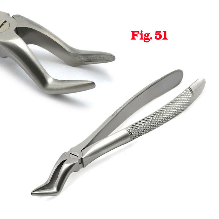 Premium High Quality Stainless Steel Dental Tooth Extracting Forceps ...