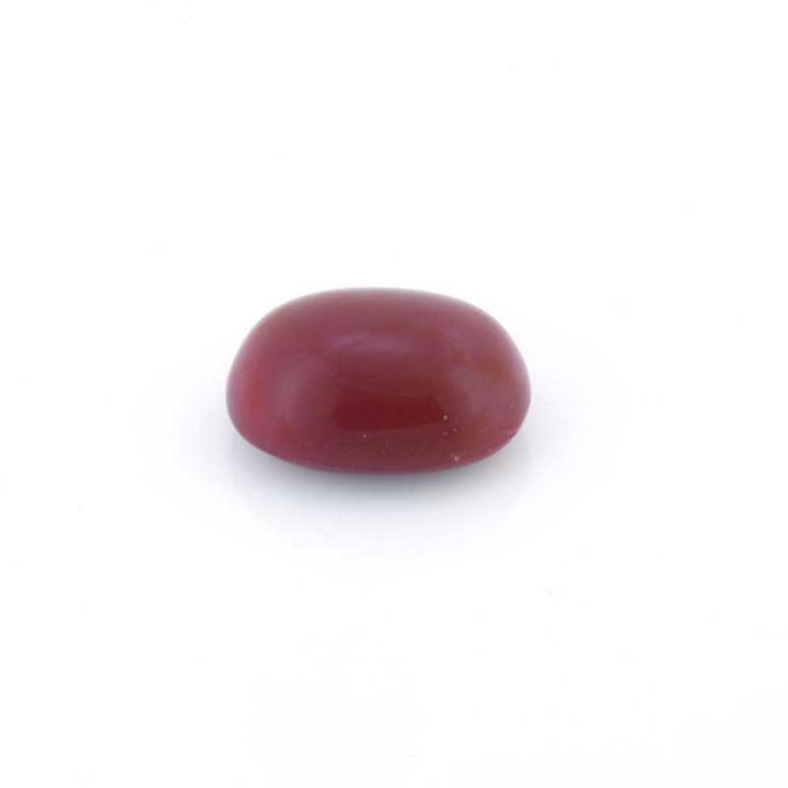 Natural Coral Marjan 8 86 Carat Daraz Pk