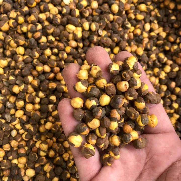 Chana roasted chana 250 gram big size bhuna chaney chickpeas Indian ...