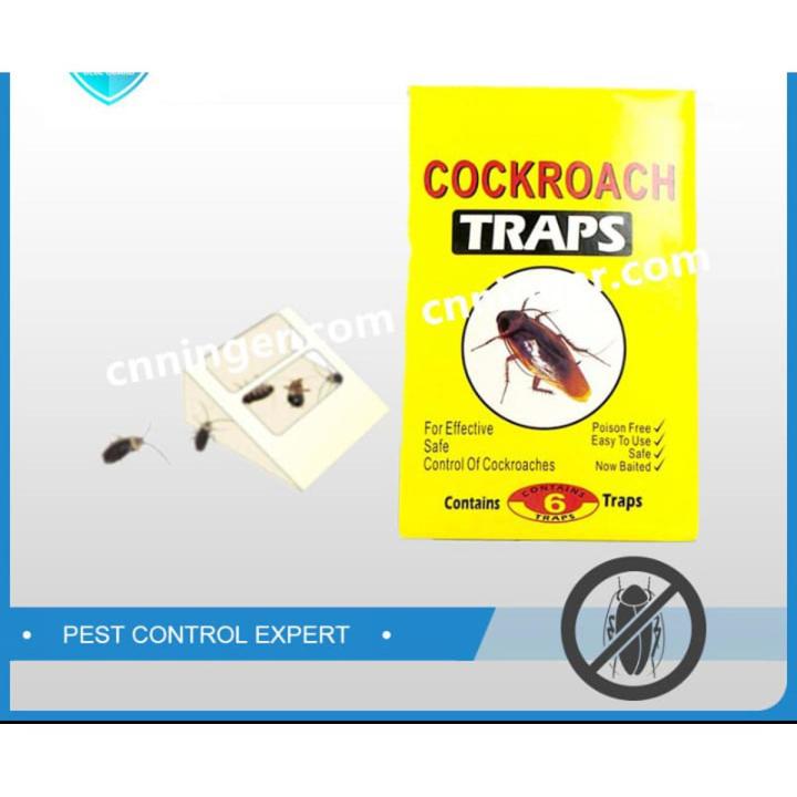 Cockroach Glue Trap - 6 Count, Ready to Use Indoors. Spider Scorpion ...